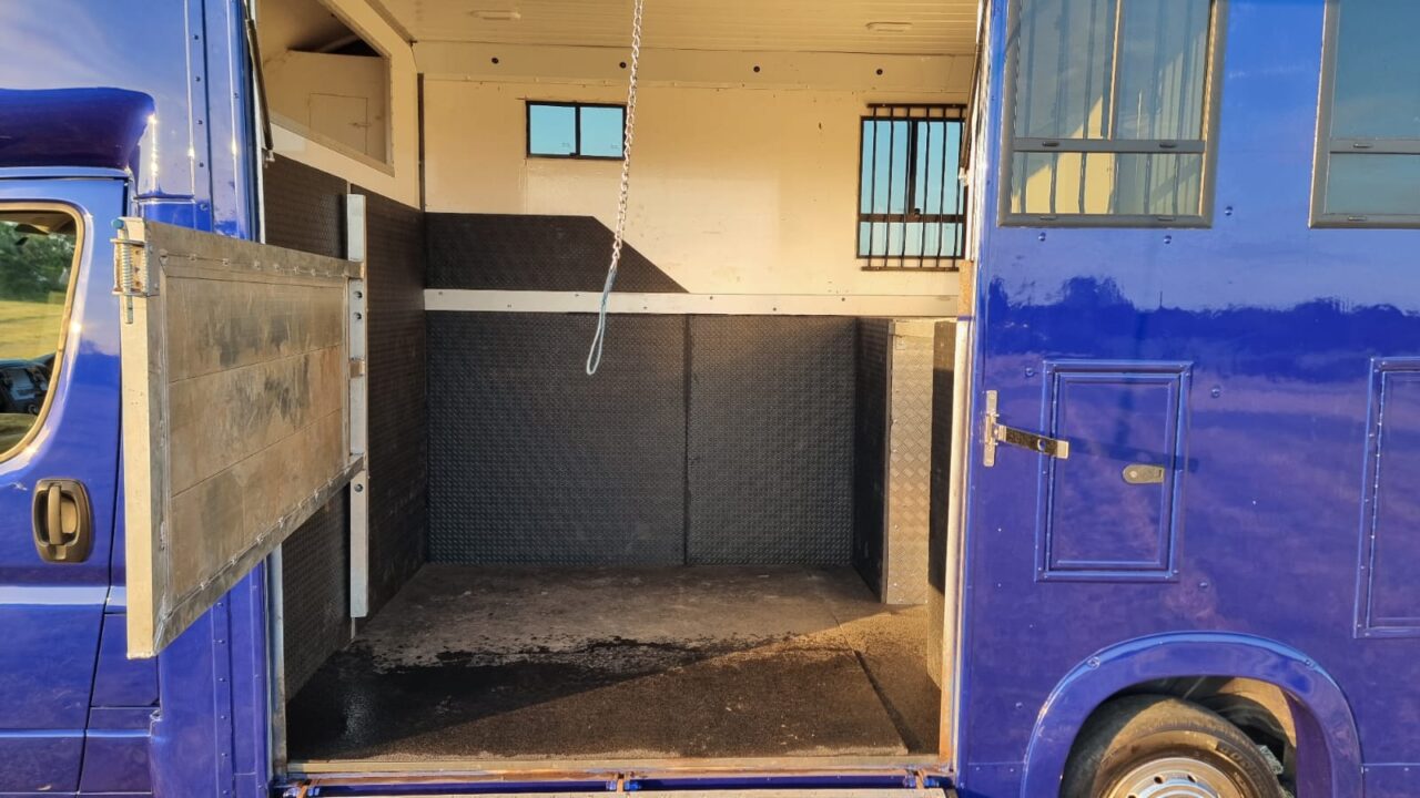 Gallery | TC Horse Boxes